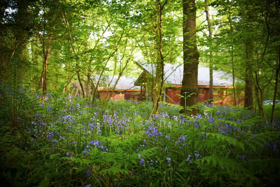 Last Minute Log Cabins, Lodges and Hot Tub Holidays | Forest Holidays